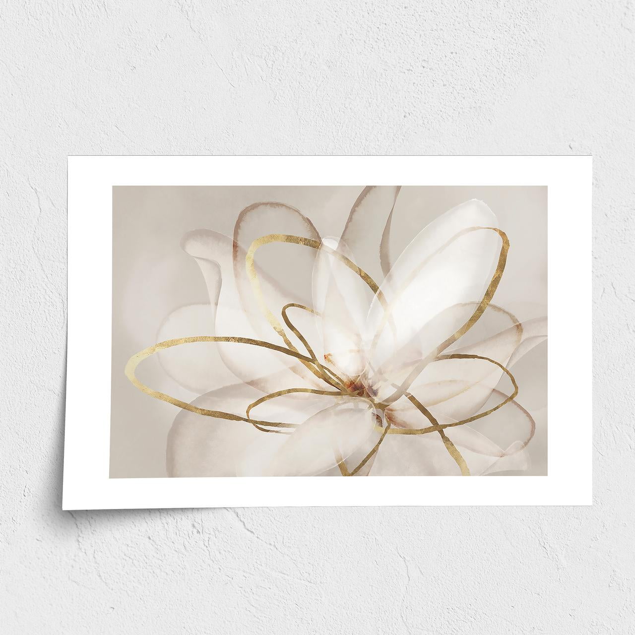 Fine Art Paper Print - Transparent Beauty III - Walmart.com