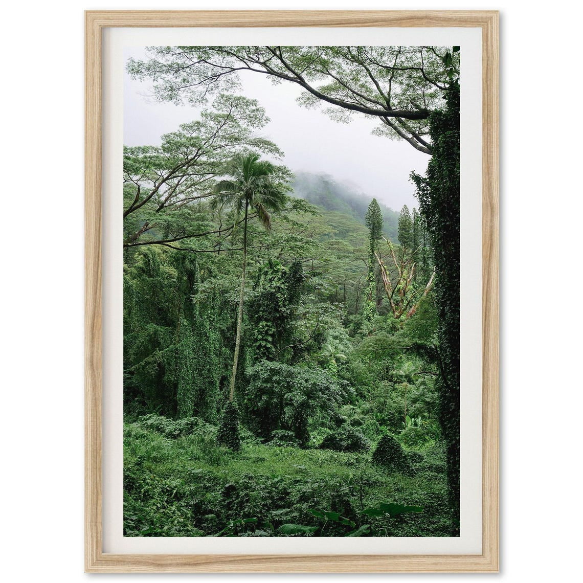 Fine Art Photography Nature Print - Tropical Rainforest Foliage Hawaii ...