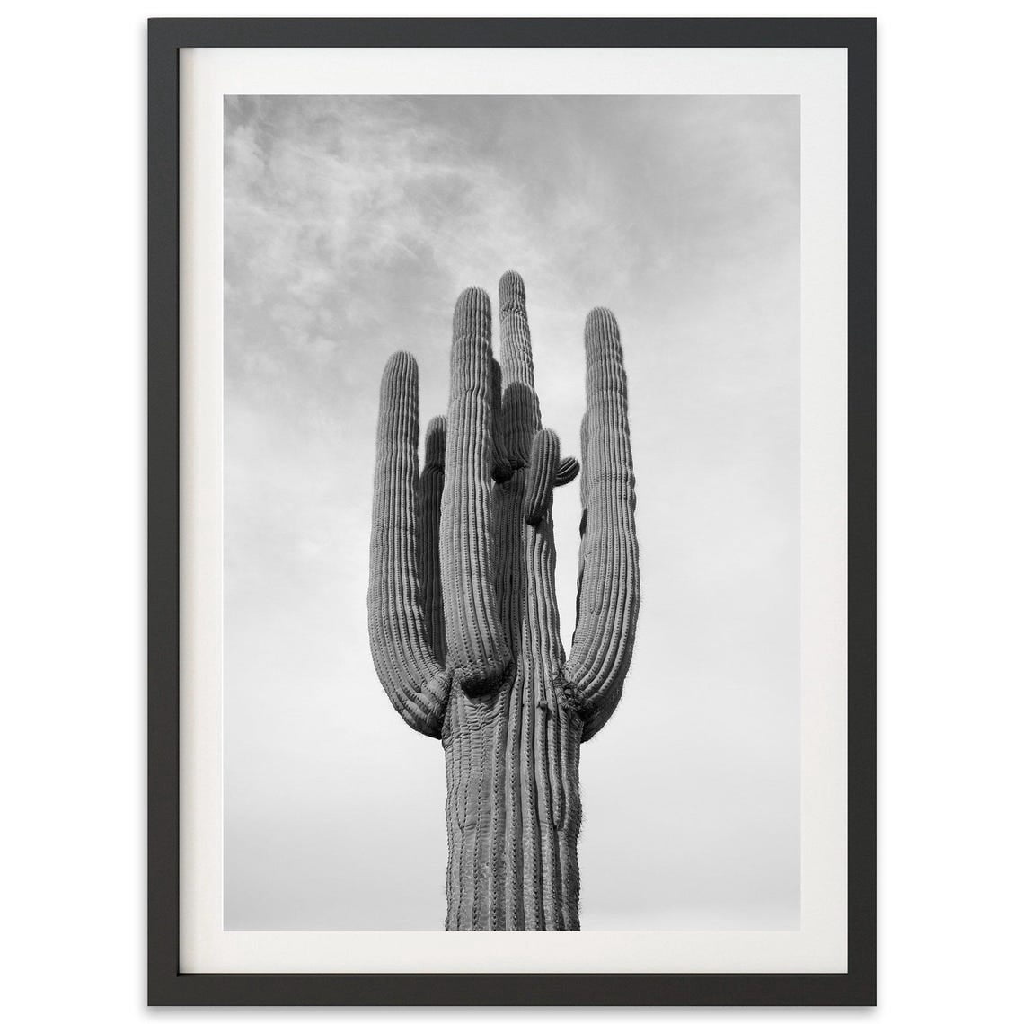 Fine Art Saguaro Cactus Desert Print - Southwestern Arizona Black And ...