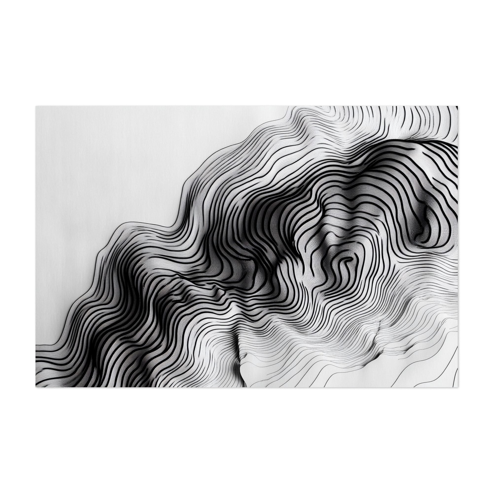 Fine Line Floral Art - Line Drawing Abstract Black and White Minimalist ...