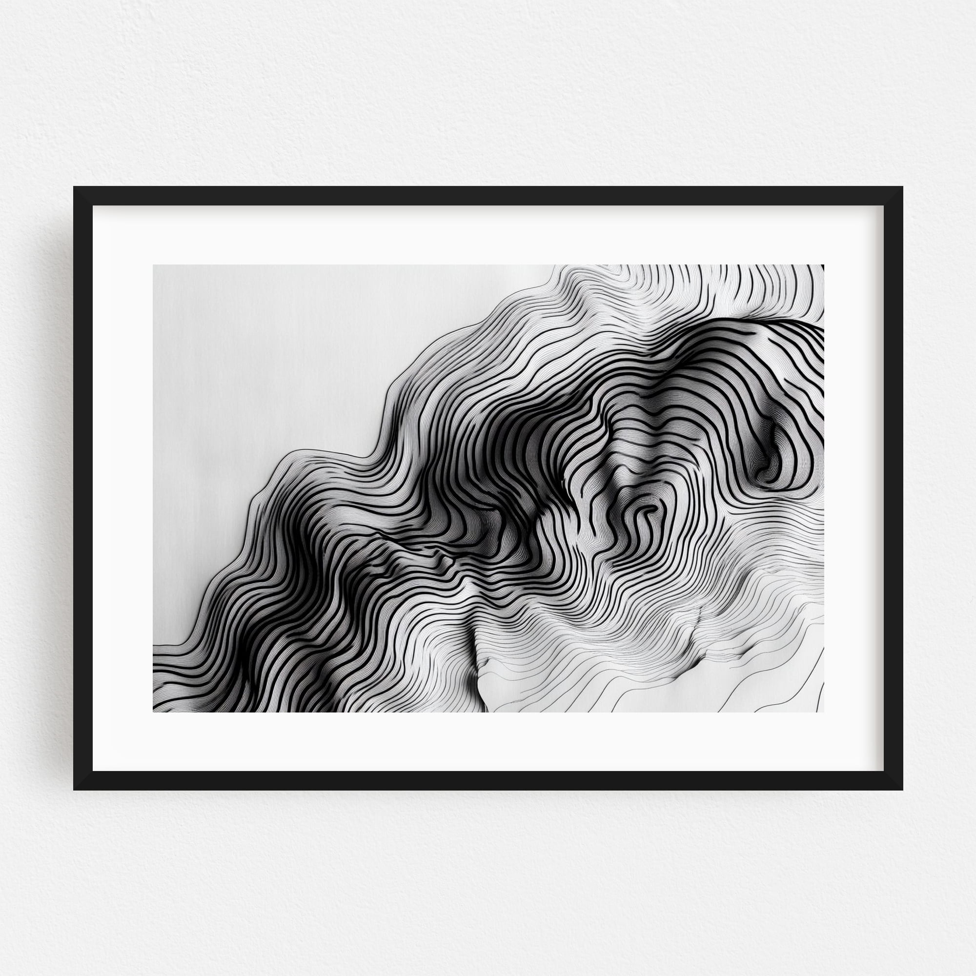 Fine Line Floral Art - Line Drawing Black Framed Wall Art Print 20 x 30 ...