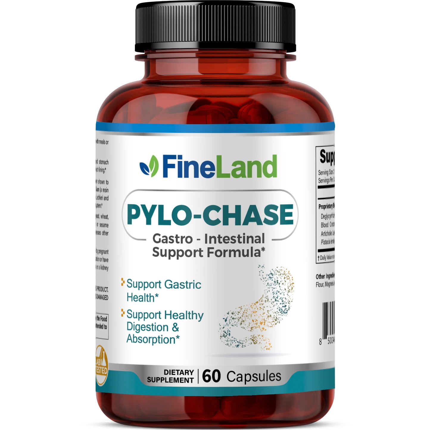 FineLand PYLO - CHASE Gastric Function, Digestive Function, 60 Capsules ...