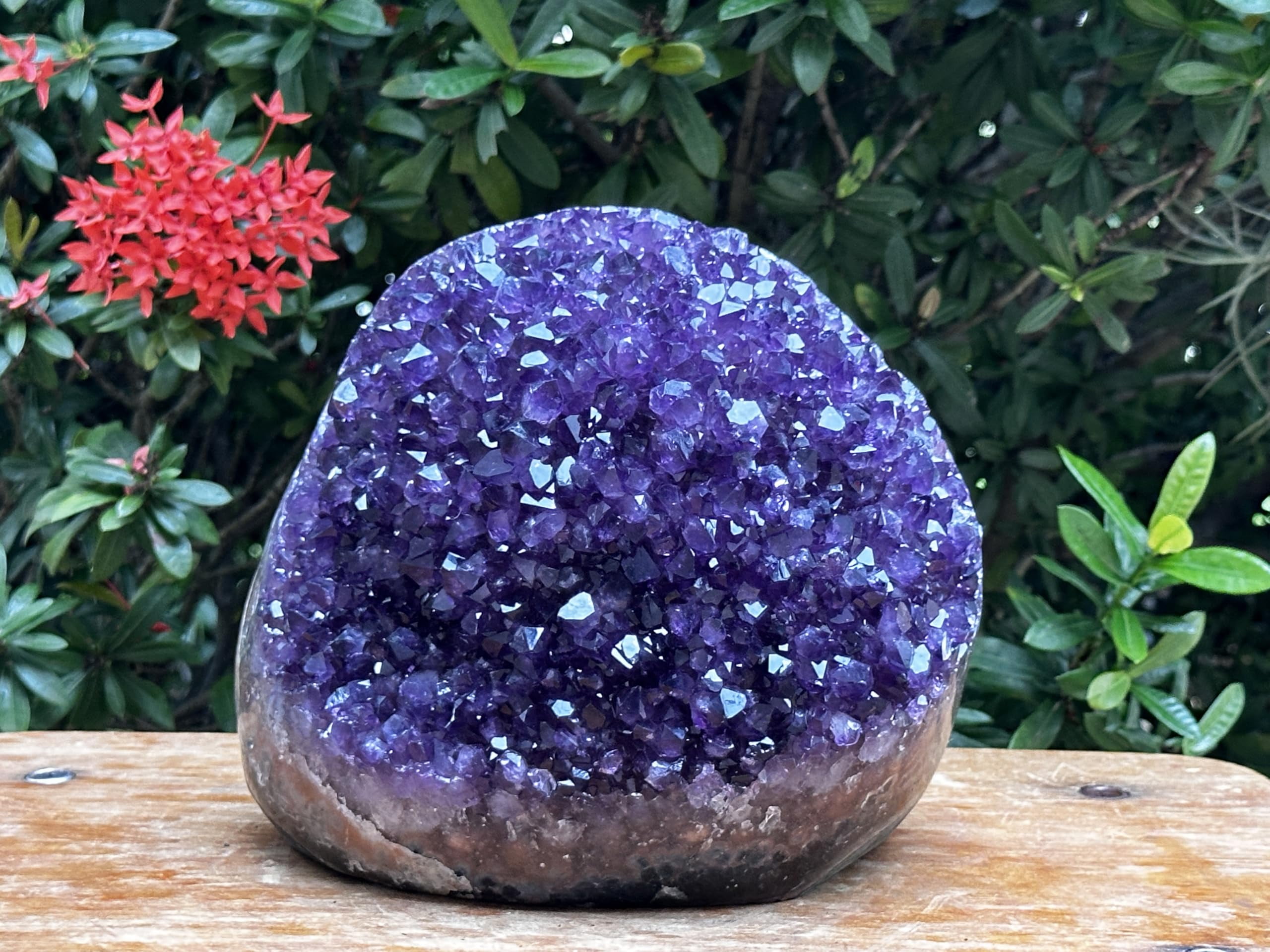 Finely Polished Uruguayan Deep Purple Amethyst Cluster With Cut Base ...