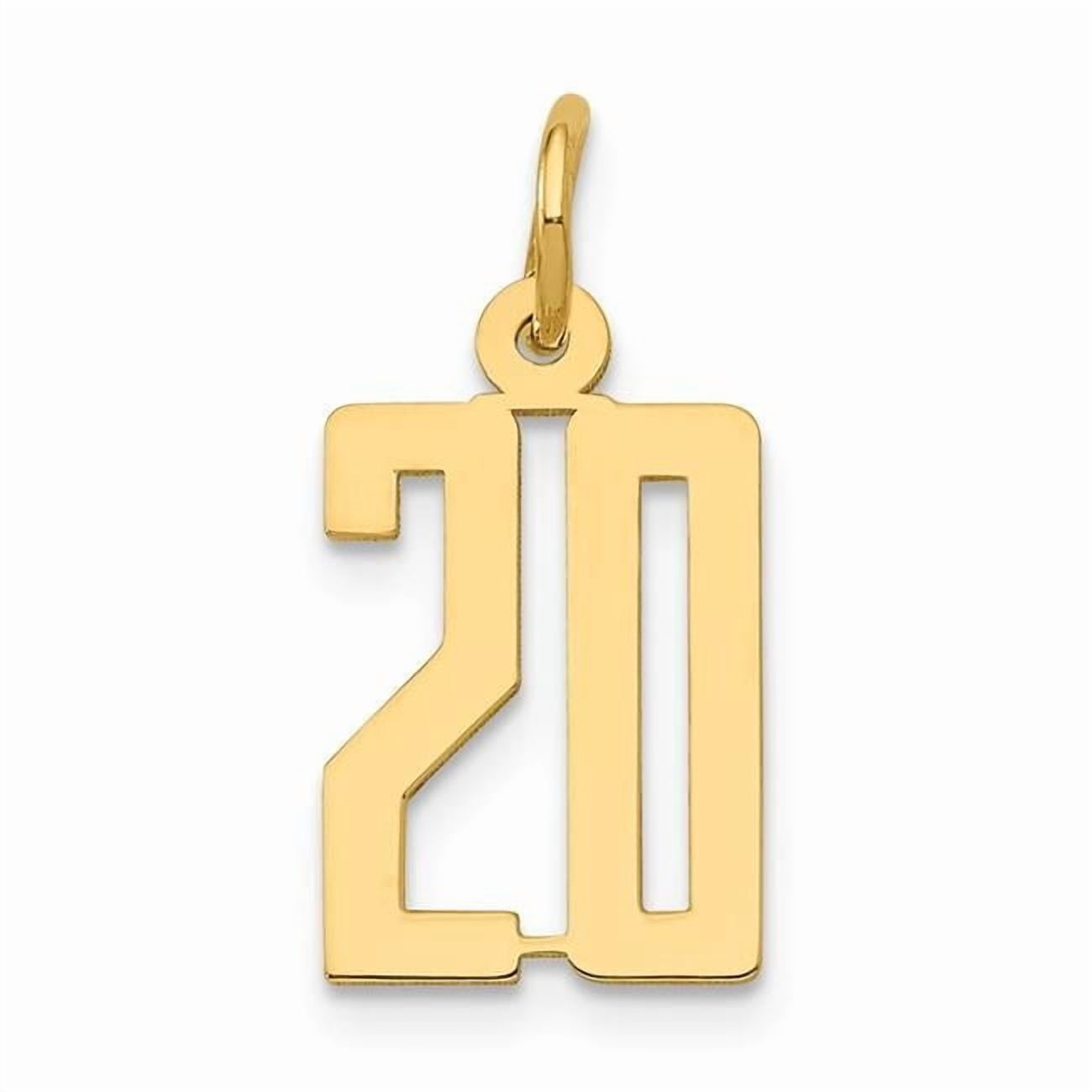 14K Yellow Gold Polished Finish Small Size Elongated Shape Number 20 ...