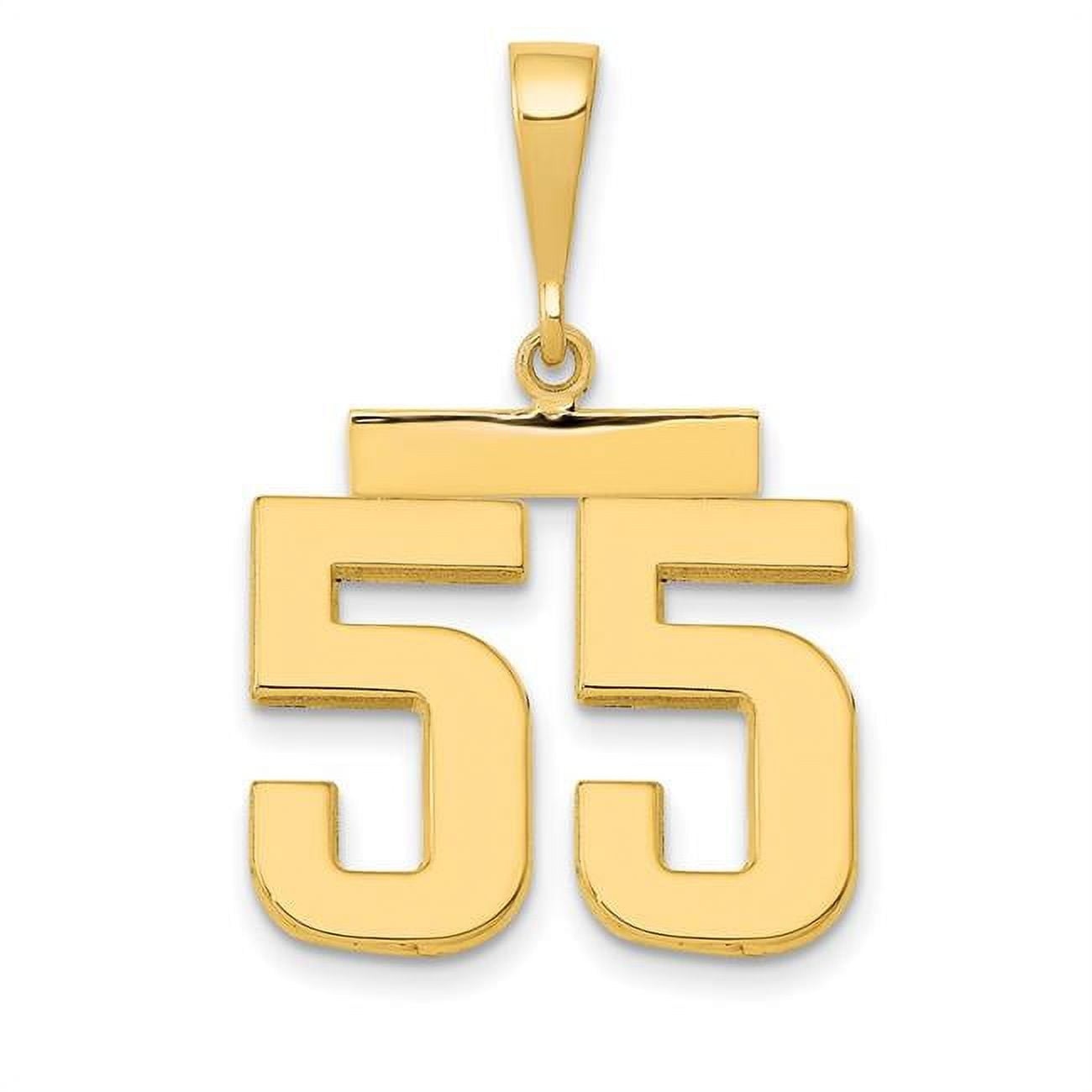 Finest Gold 14K Yellow Gold Medium Polished Number 55 Charm - Walmart.com