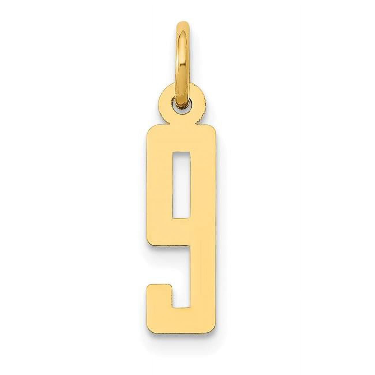 Finest Gold 14K Yellow Gold Small Elongated Number 9 Charm - Walmart.com