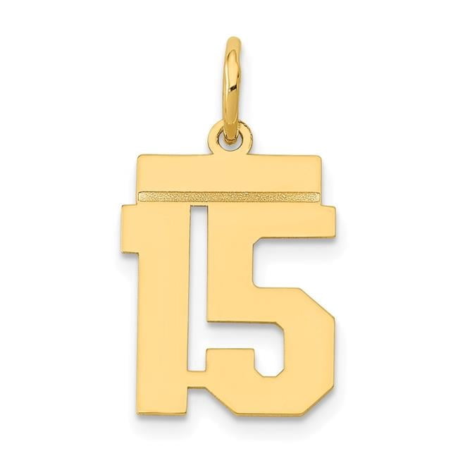 Finest Gold 14K Yellow Gold Small Polished Number 15 Charm - Walmart.com