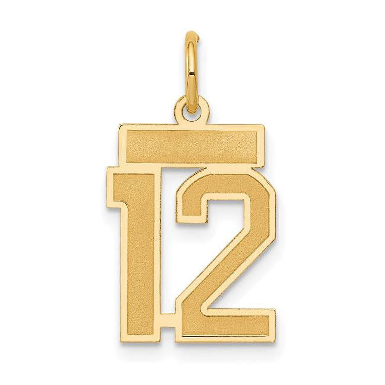 Finest Gold 14K Yellow Gold Small Satin Number 12 Charm - Walmart.com