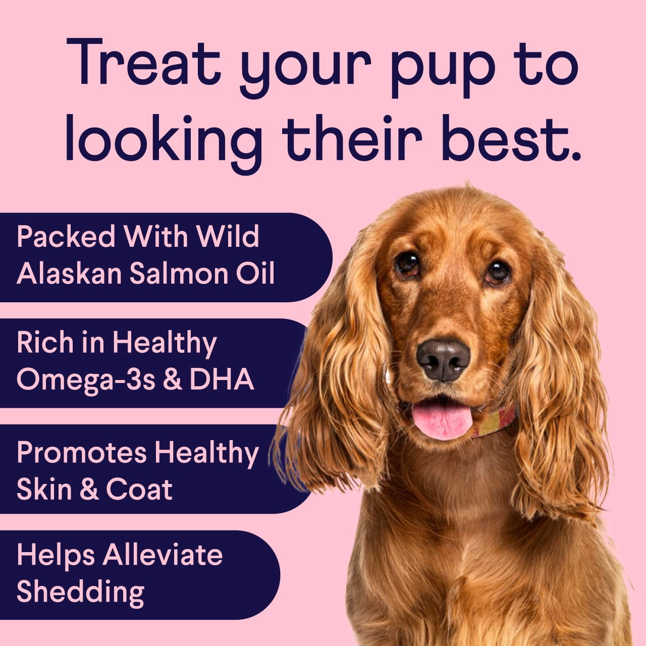 Finn Skin & FEV6 Coat Salmon Oil Supplement for Dogs | Supports A Thick ...