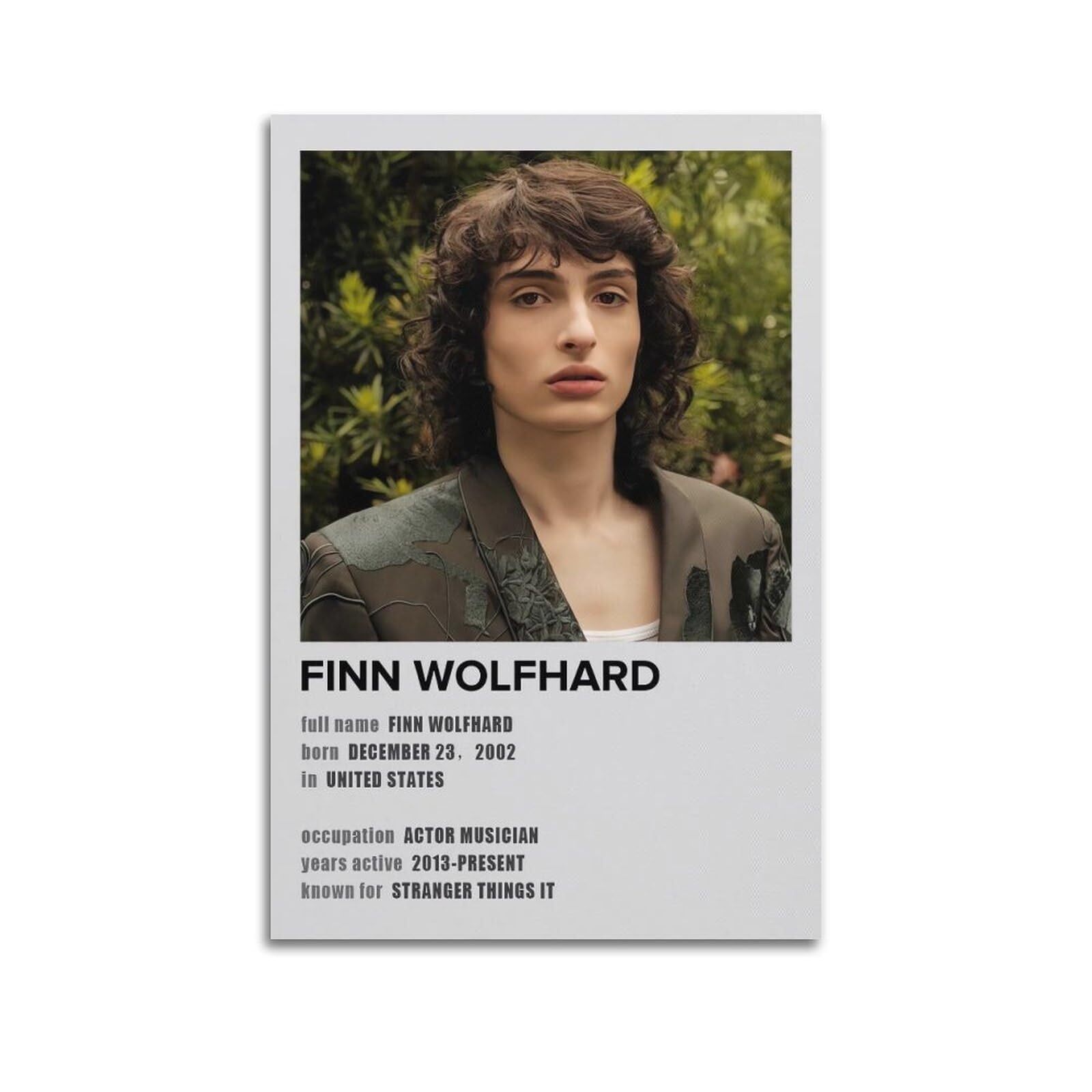 Finn Wolfhard Poster Album Cover Canvas Poster Vintage Art, Music, Wall ...