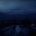 Finneas - Blood Harmony - Music & Performance - Vinyl - Walmart.com