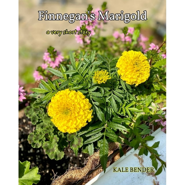 Finnegan's Marigold: A very short story (Paperback) - Walmart.com