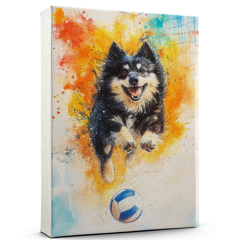 Finnish Lapphund Dog Stretched Canvas Size 8x12 – Volleyball Canvas ...