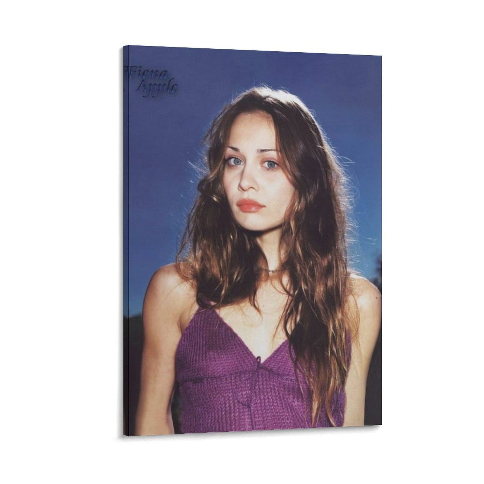 Fiona Apple Poster (18) Canvas Poster Wall Art Picture Prints Hanging ...