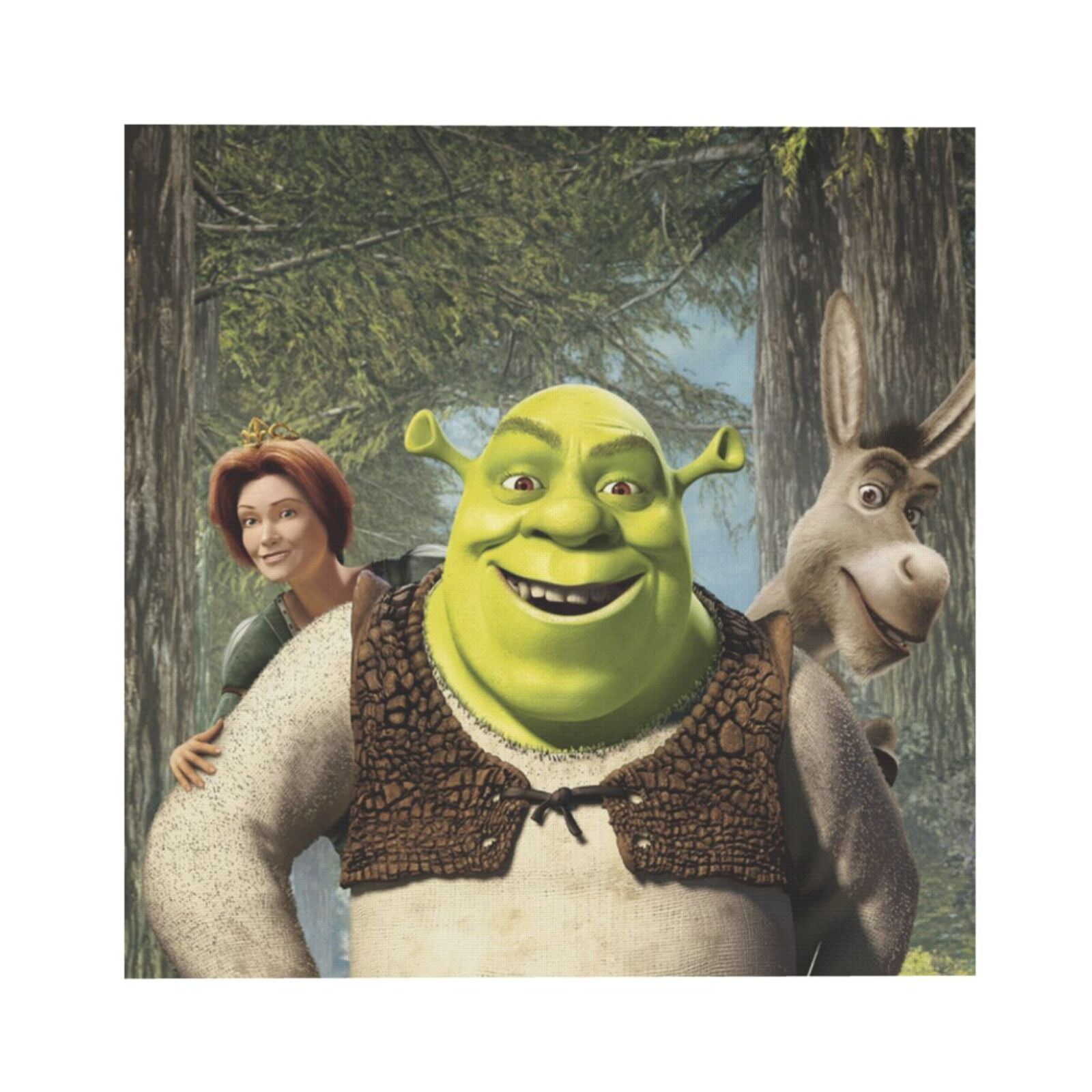 Fiona Shrek Doney Canvas Decorative Poster Square Unframe Wall Poster ...