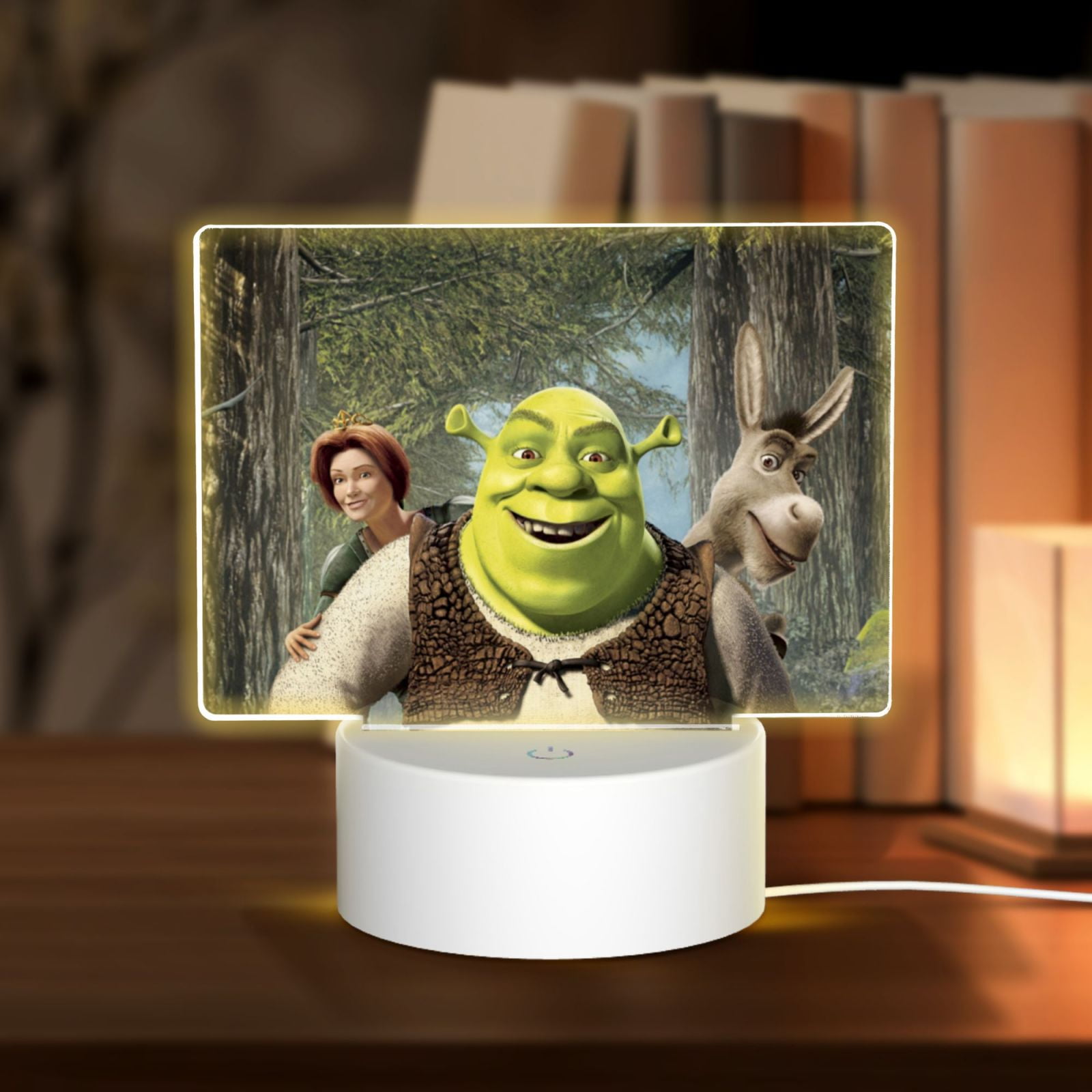Fiona Shrek Doney Rectangular Acrylic Night Light USB Cable Lamp Light ...