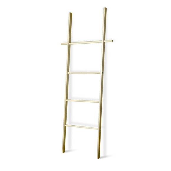 Wall Mounted Ladder Racks