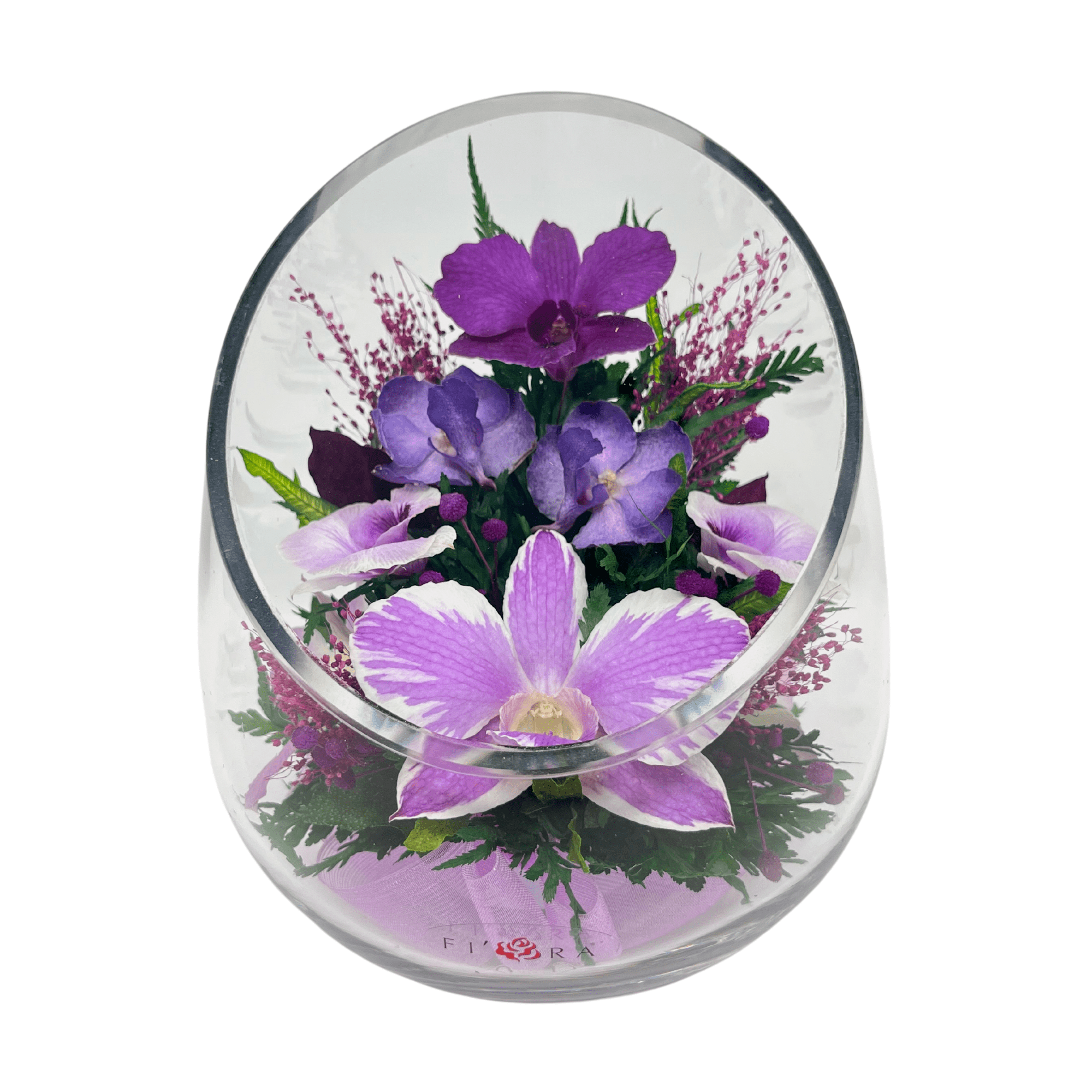 Fiora Flower | Long Lasting Orchids| Lasts up to 5 Years | No Water ...