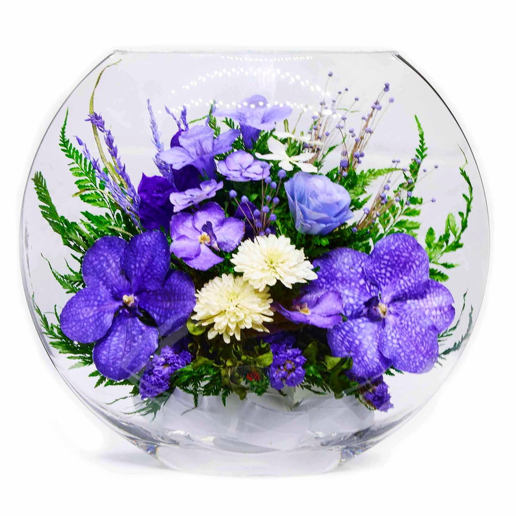 Fiora Flower Long-Lasting Orchids in a Large Glass Vase - Walmart.com