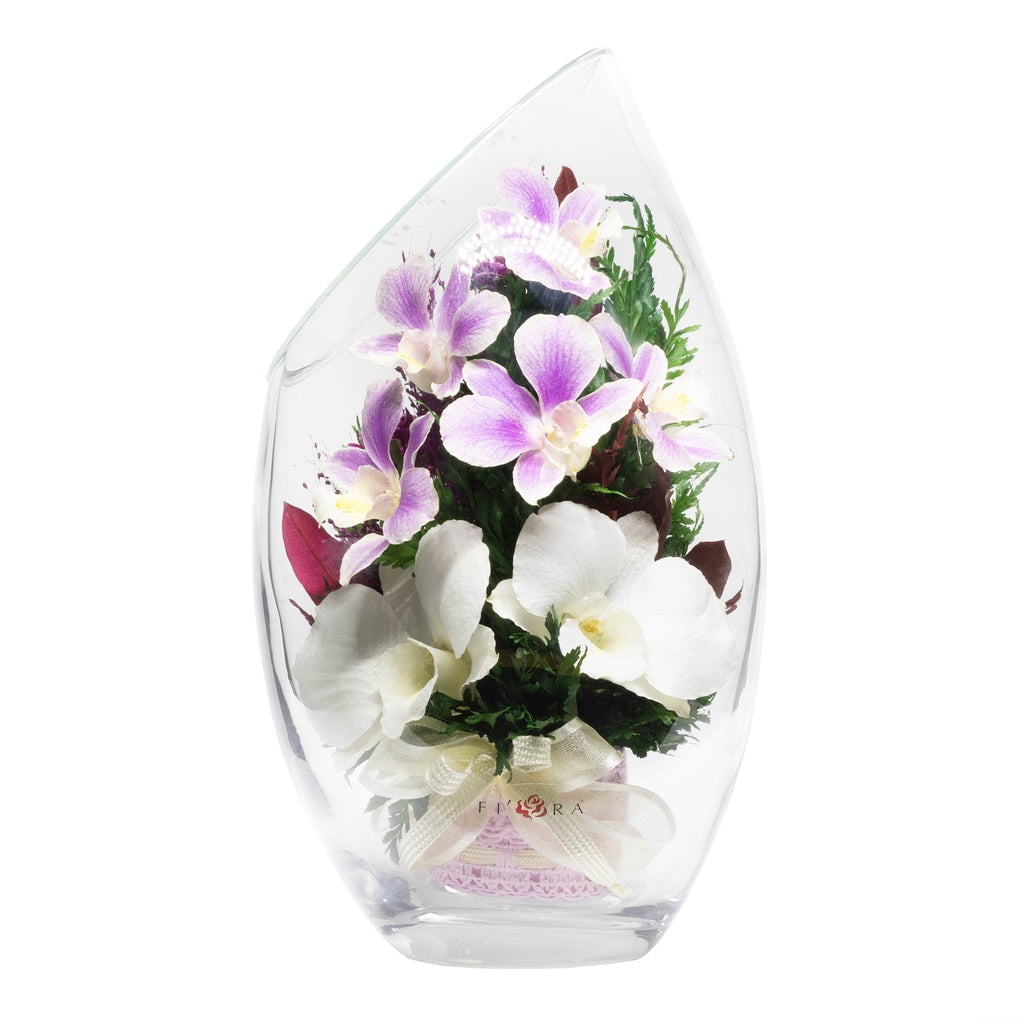Fiora Flower Long-Lasting Purple Orchids, Limoniums with Greenery in a ...