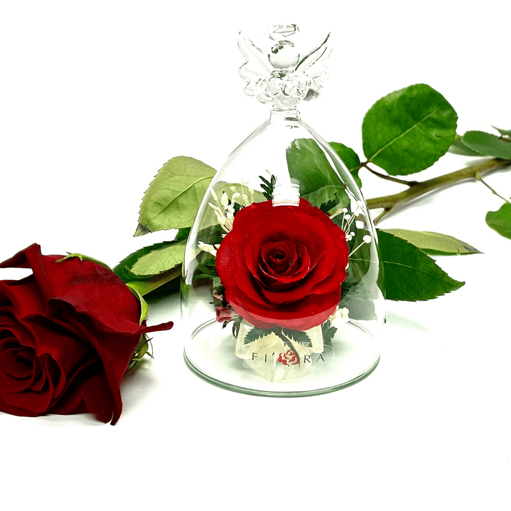 Fiora Flower Natural Preserved Red Rose in an Angel-Shaped Glass Vase ...