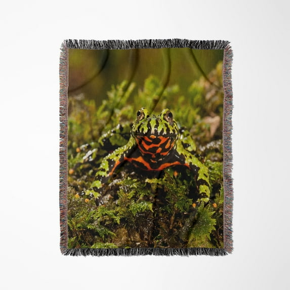 Fire Belly Toad, Native To Korea And Ne China - Na02 Dno0821 - David ...