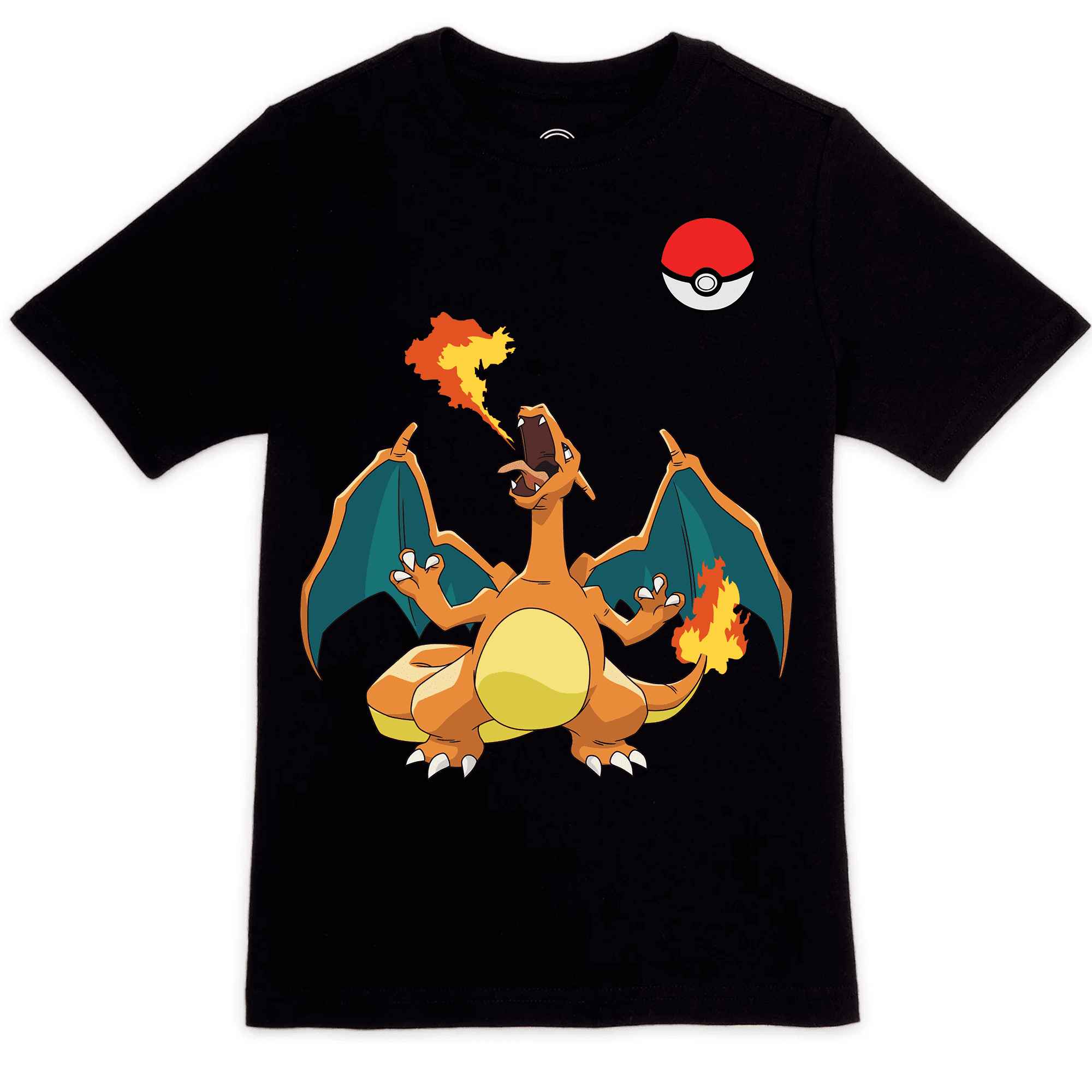 Charizard Breathing Fire
