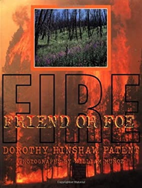 Pre-Owned Fire: Friend or Foe (Hardcover) 0395730813 9780395730812 ...