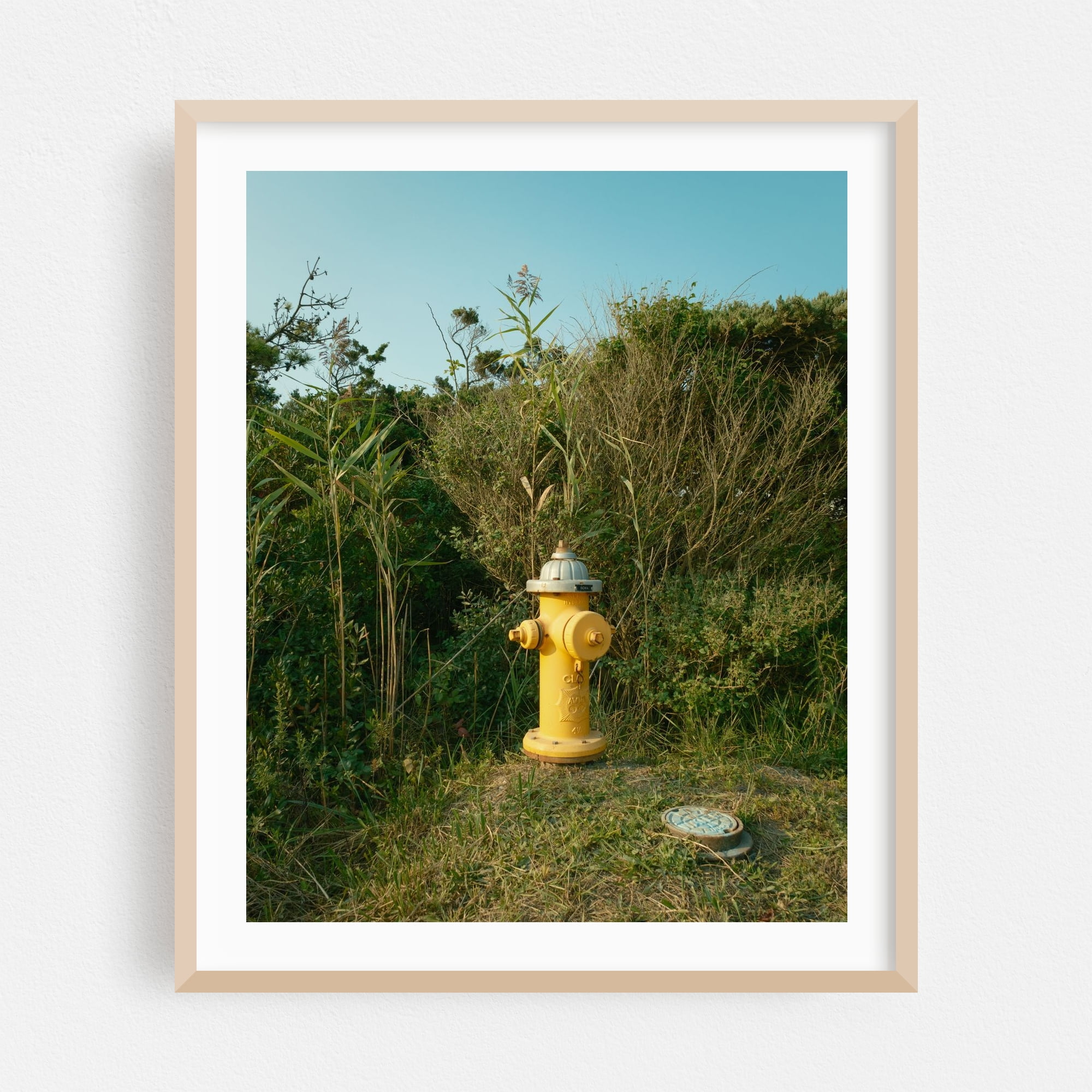 Fire Hydrant, Fire Island - Fire Island New York Photography Nature ...