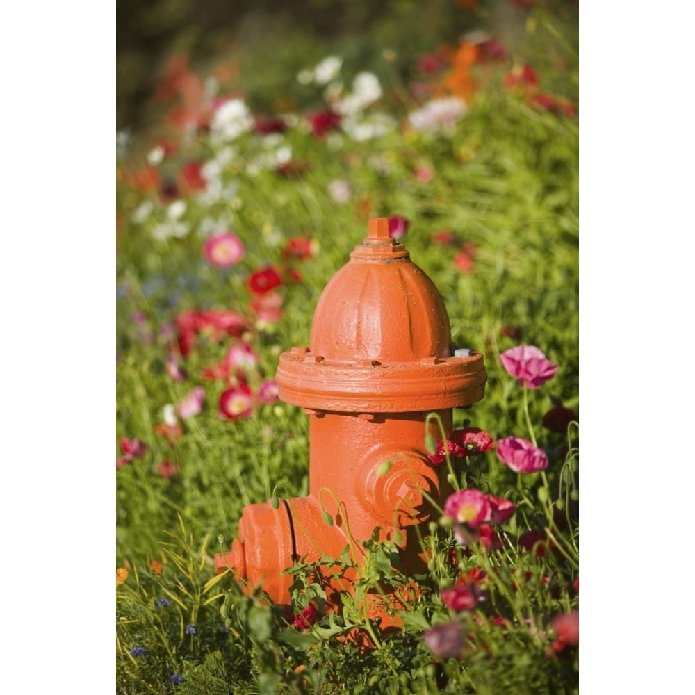 Fire Hydrant and Flowers Kodiak Island Southwest Alaska Poster Print ...