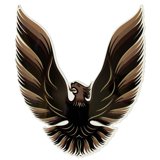 Firebird Trans Am Large Wall Emblem Rising Phoenix Hood Bird 18" x 15. ...