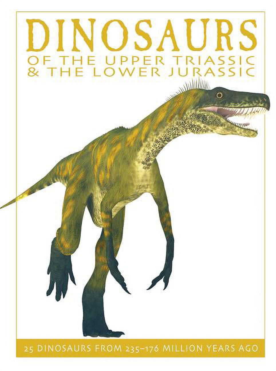 Firefly Dinosaur: Dinosaurs of the Upper Triassic and the Lower Jura ...