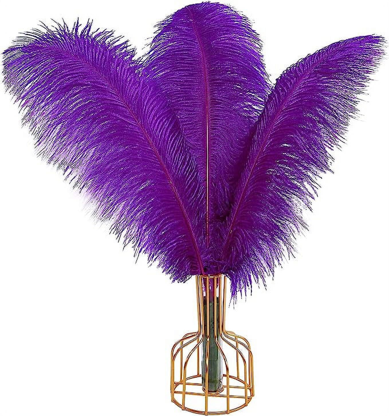 Firefly hope 12pcs Purple Ostrich Feathers Natural Bulk 16-18Inch 40cm ...