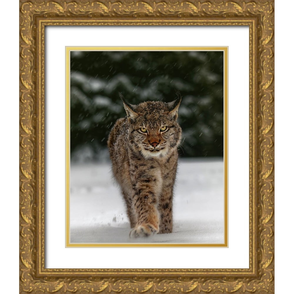 Firesova, Michaela 26x32 Gold Ornate Wood Framed with Double Matting ...