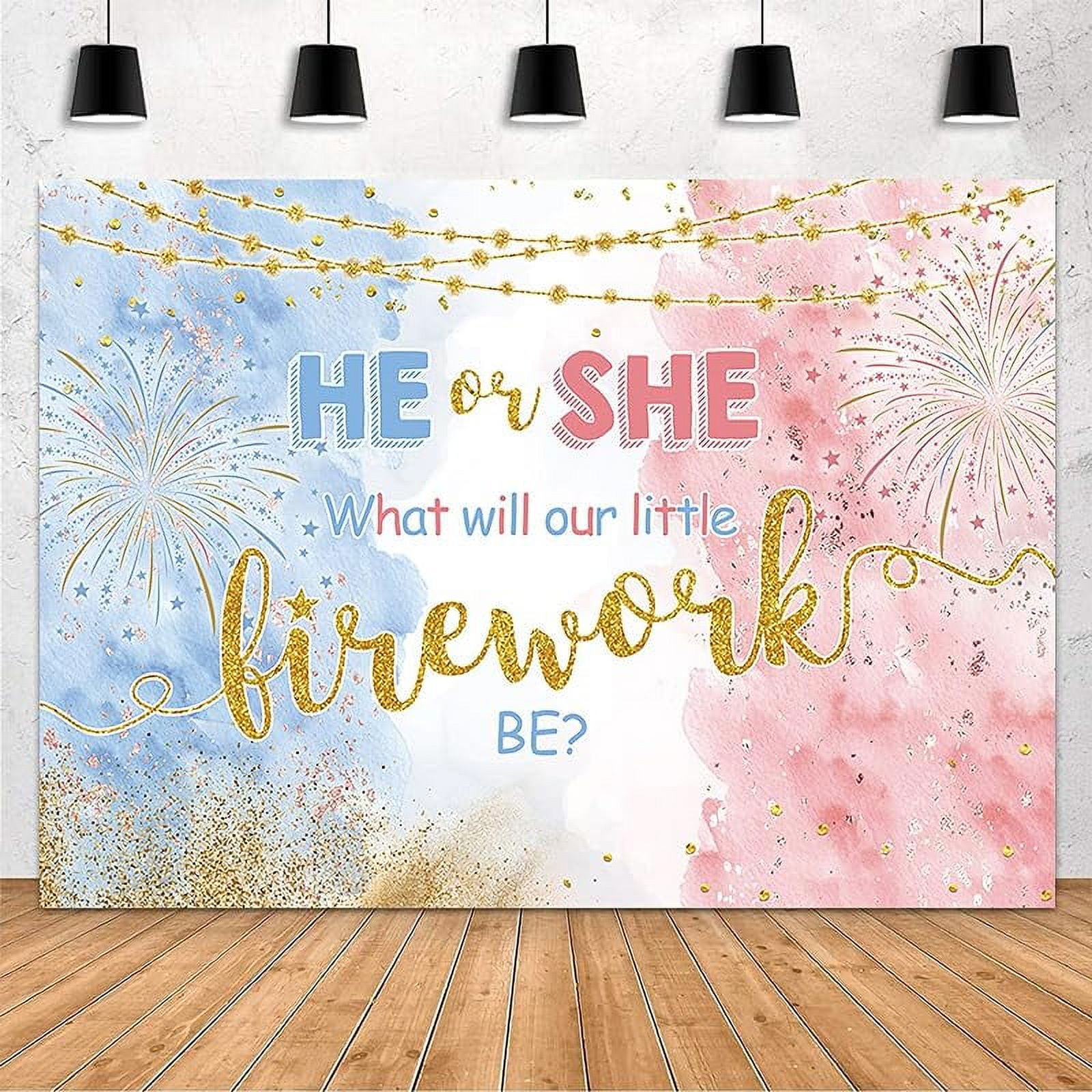 Firework Gender Reveal Party Pretty Backdrop He Or She What Will Our ...