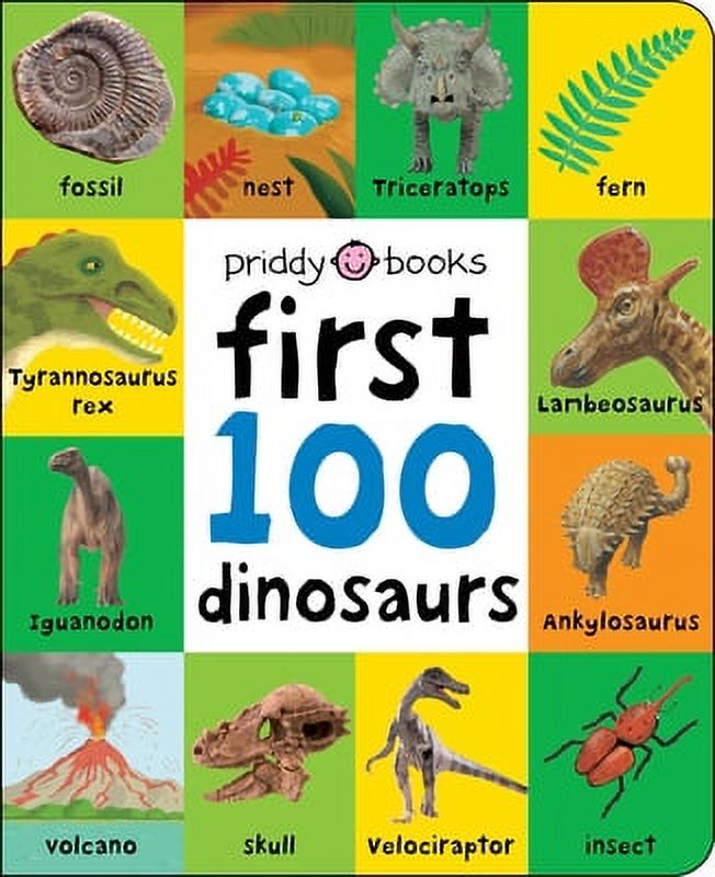 First 100: First 100: First 100 Dinosaurs (Board book) - Walmart.com