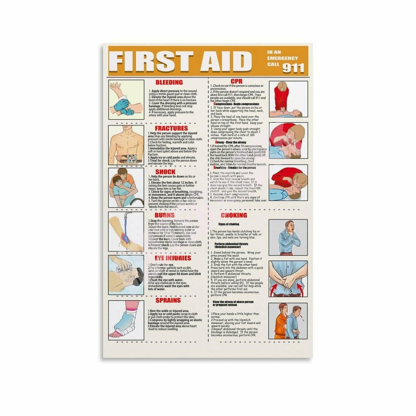 First Aid Guide Poster,First Aid Poster,First Aid Knowledge Poster (6 ...
