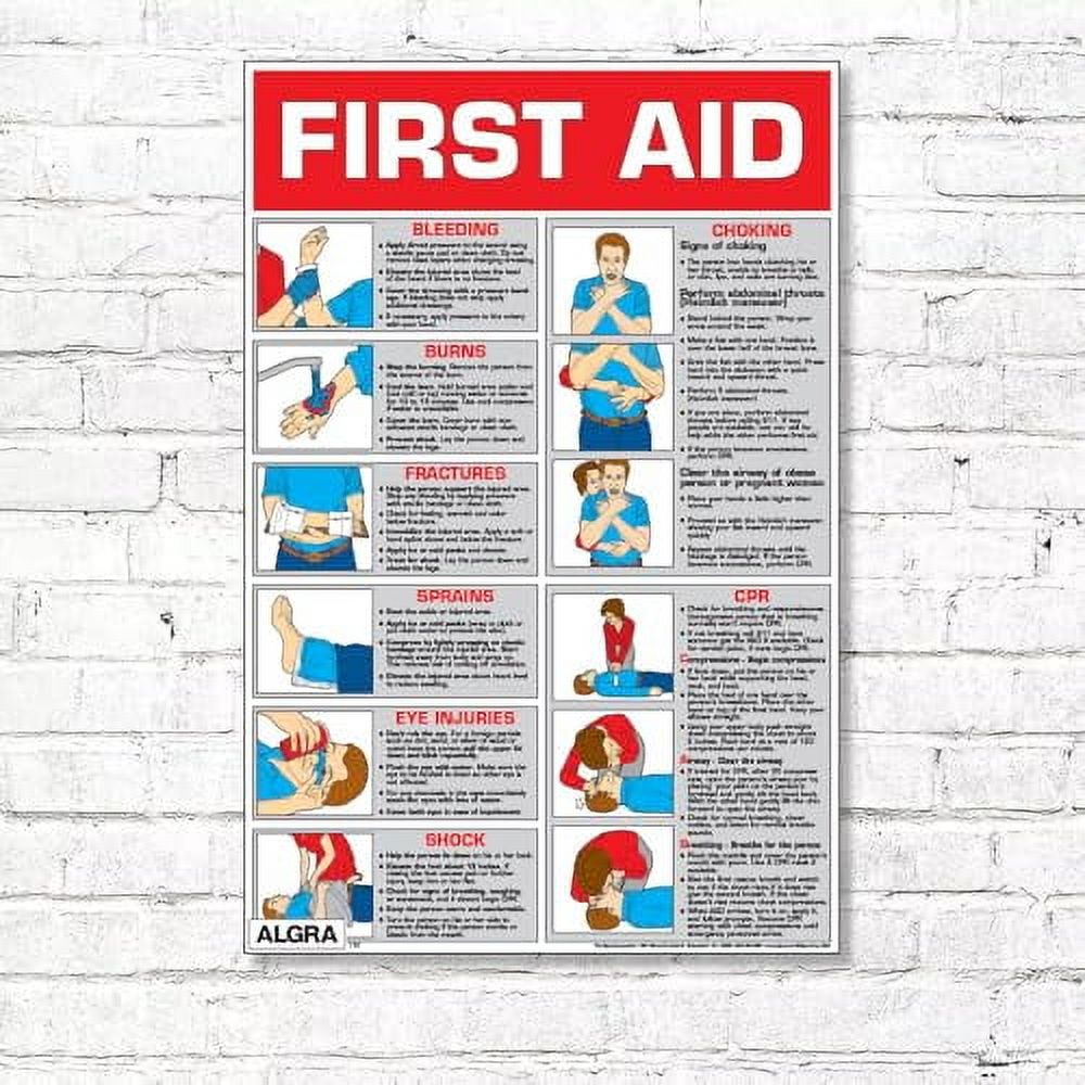 First Aid Laminated Poster 24" X 36" - Walmart.com