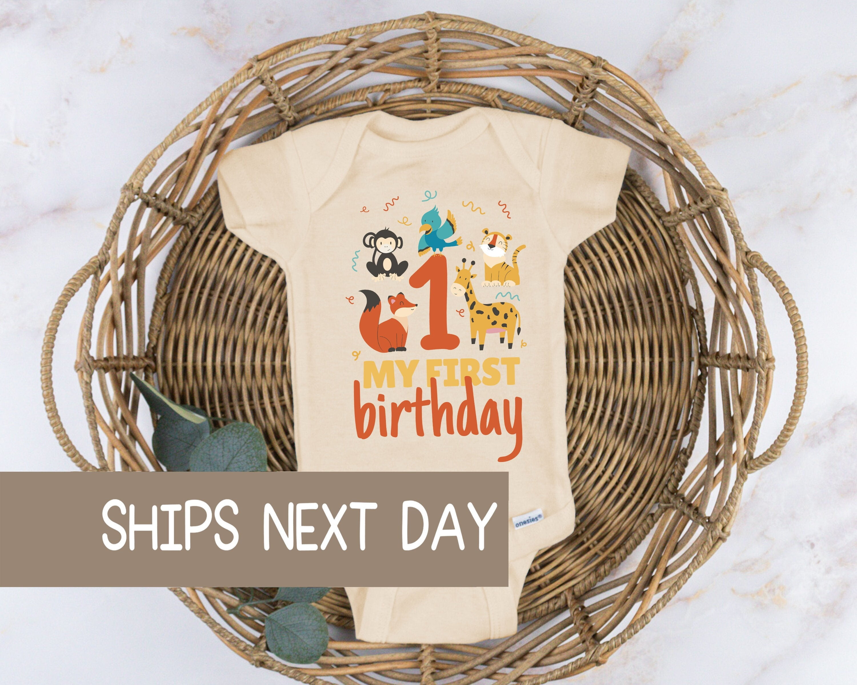 First Birthday Animals Baby Onesie, One Year Birthday Onesie With ...