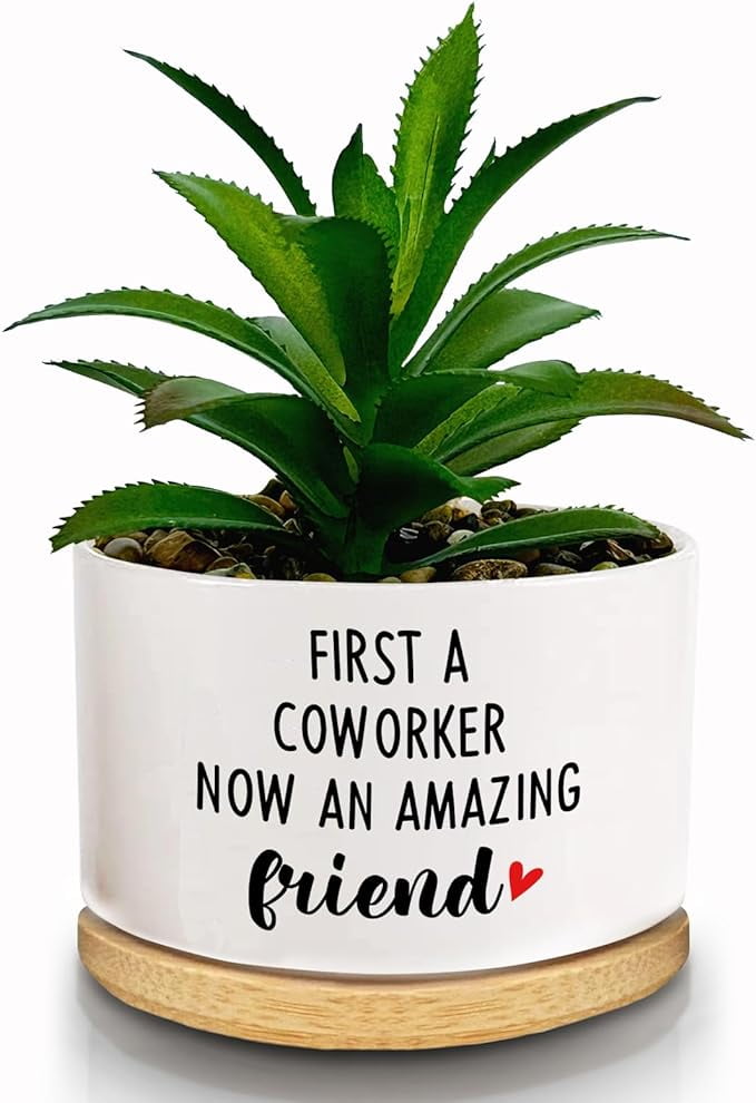First a Coworker Now an Amazing Friend- 3.5Inch Ceramic Succulent Plant ...