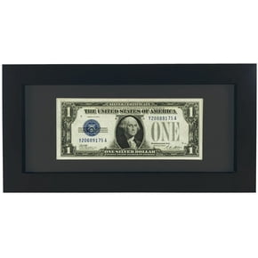 Dollar Bill Frame