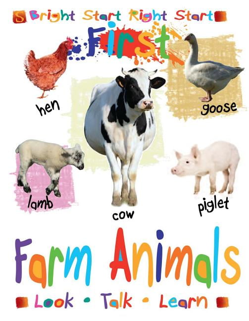 First: First Farm Animals (Board Book) - Walmart.com