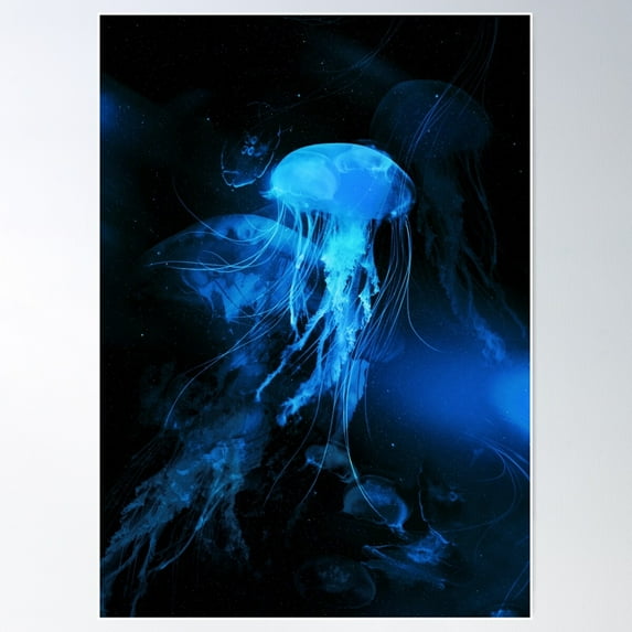 First Flight Poster Wall Art, Modern Wall Decor For Living Room Bedroom ...