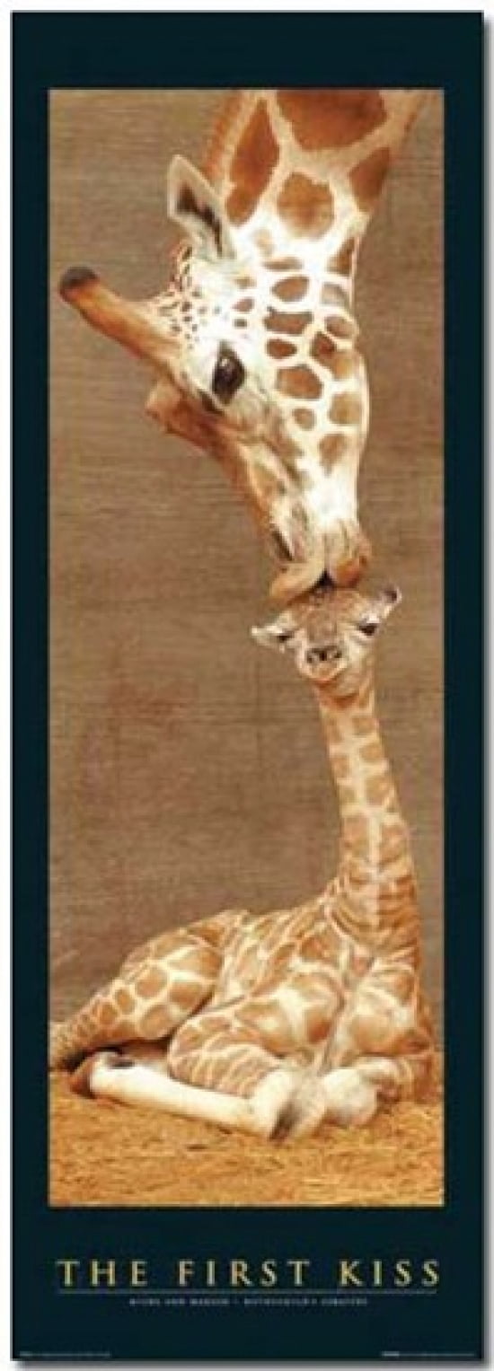 First Kiss Poster Print (21 x 62) - Walmart.com