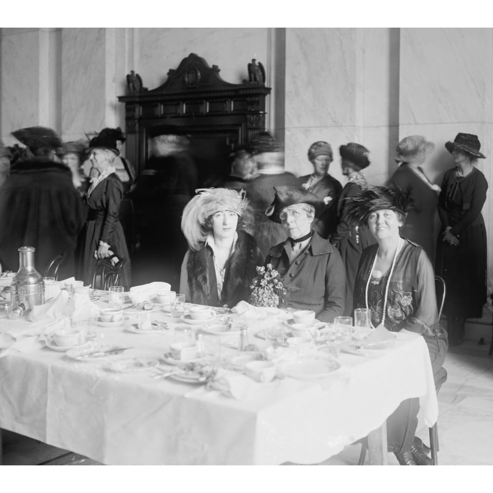 First Lady Florence Harding History Poster Print - Walmart.com