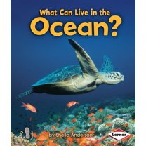 Amazing Animal Adaptations Ocean Animal Adaptations, (Paperback ...
