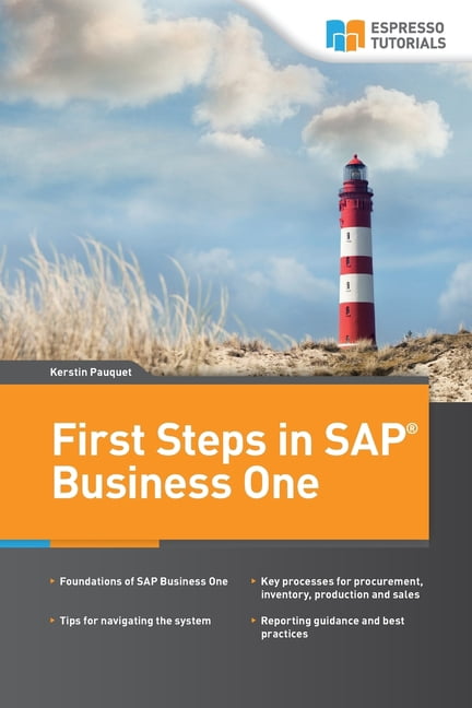 First Steps in SAP Business One - Walmart.com