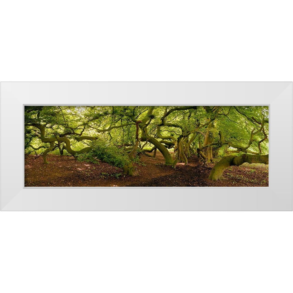 Fischer, Rolf 32x13 White Modern Wood Framed Museum Art Print Titled ...