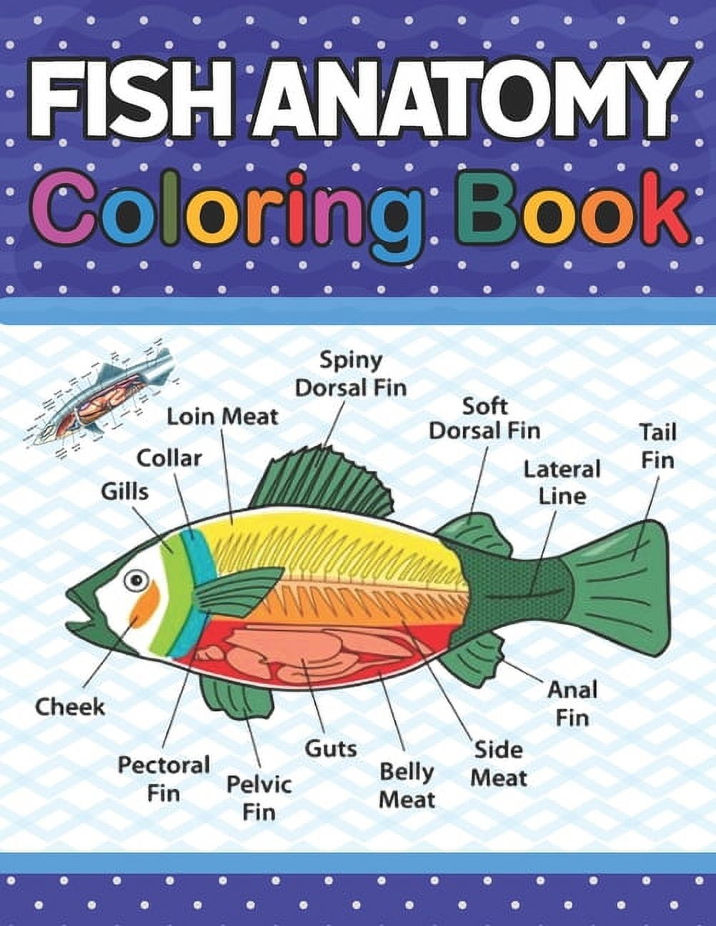 Fish Anatomy Coloring Book : Fish Anatomy Coloring Book for Kids ...