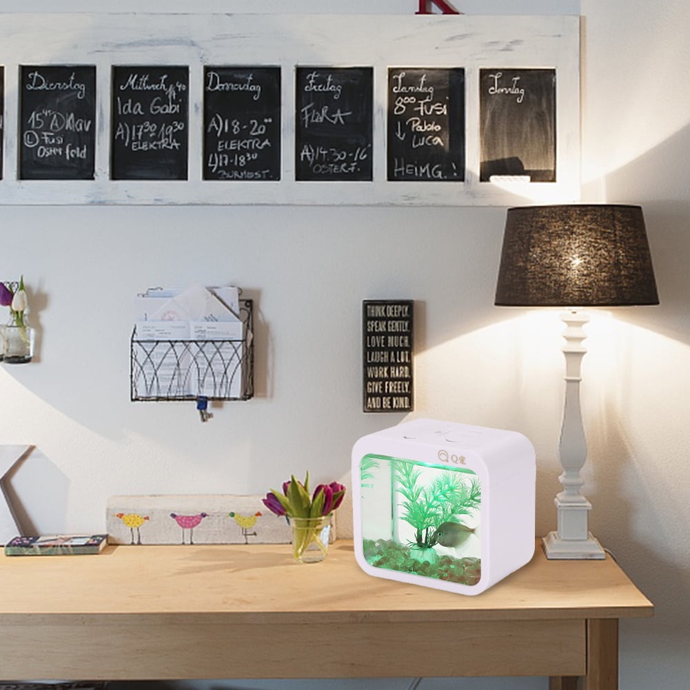 Fish Box Breeding Box with Light Detachable Mini Case Fish Aquarium ...